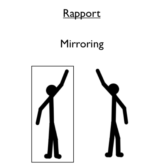 NLP Mirroring (and Matching) | NLP Rapport