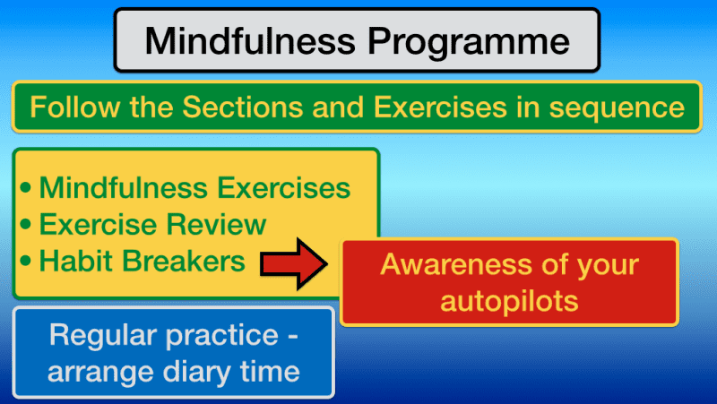 Online Mindfulness Course
